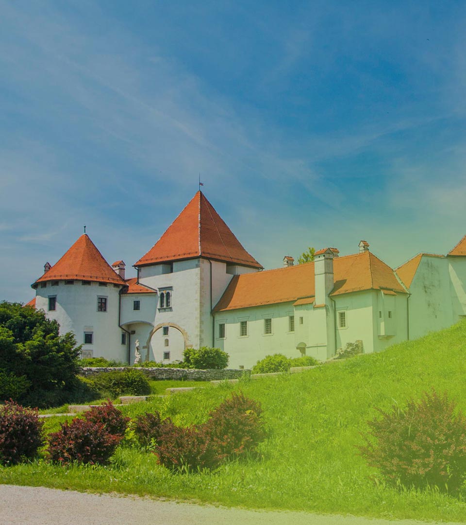 Taxi Wizi Varaždin | Odaberi najbolji prijevoz u gradu